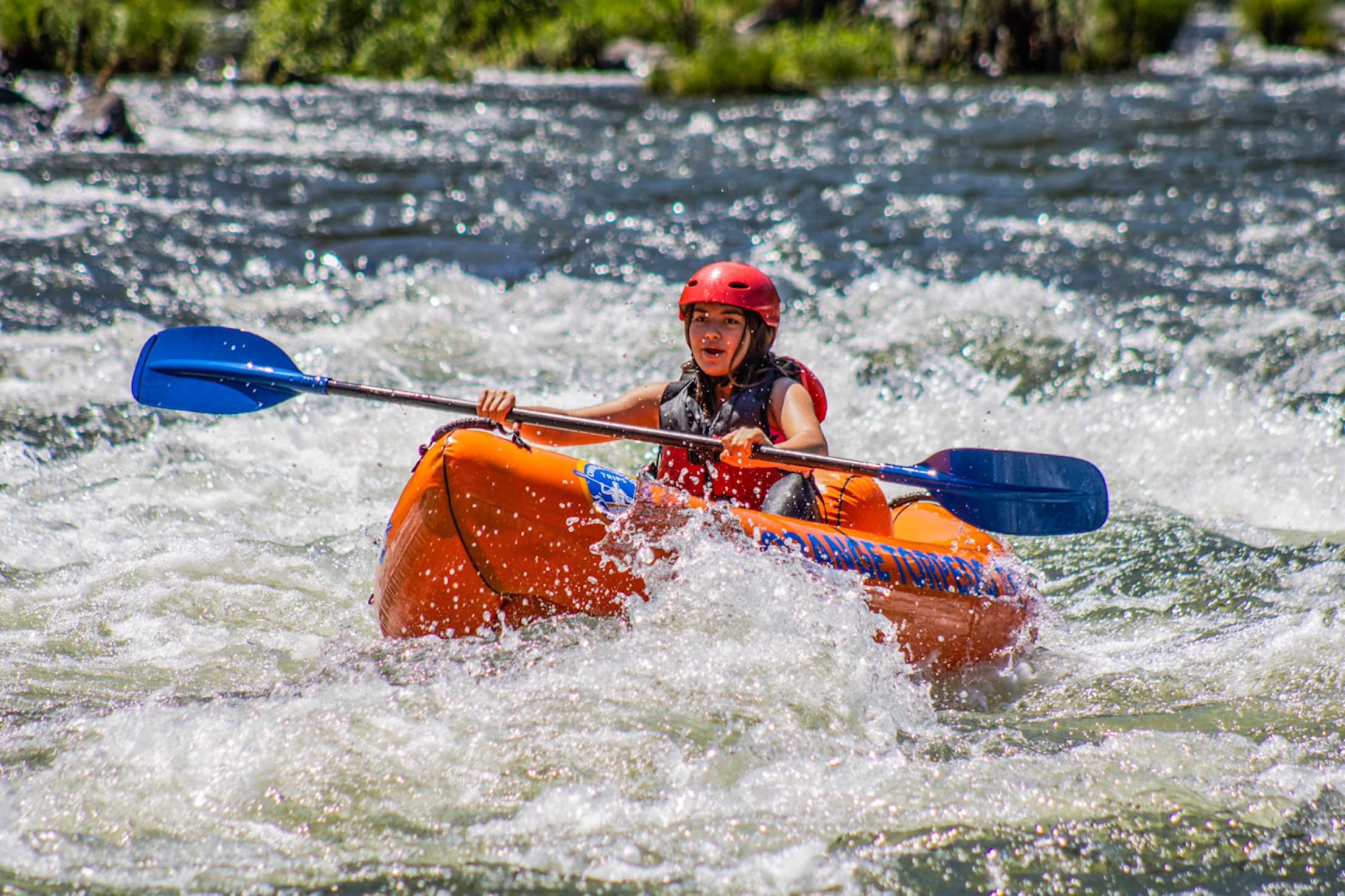 Rogue River Rafting - Half-day whitewater trip | Orange Torpedo